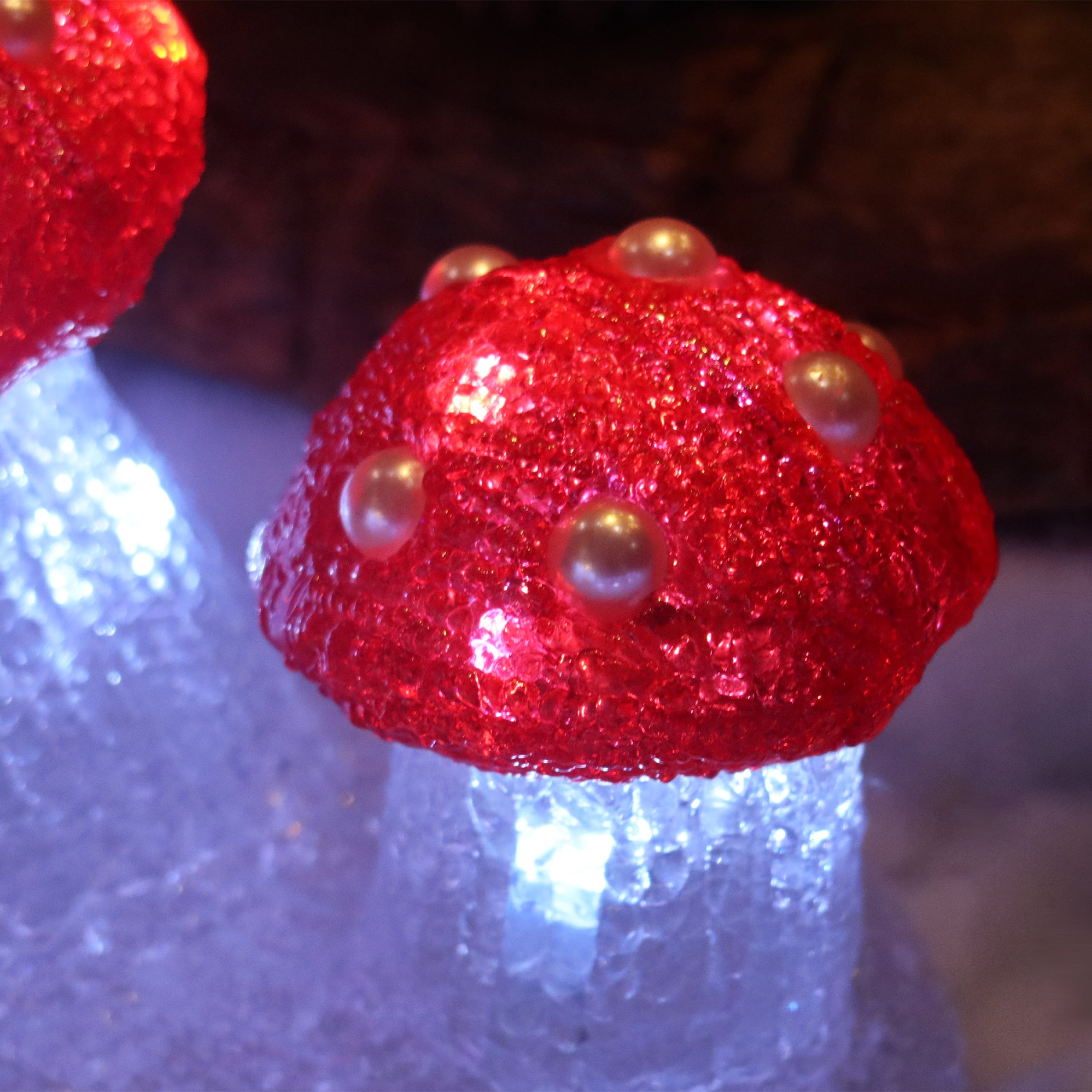 Acrylic Mushroom – Lexi Lighting