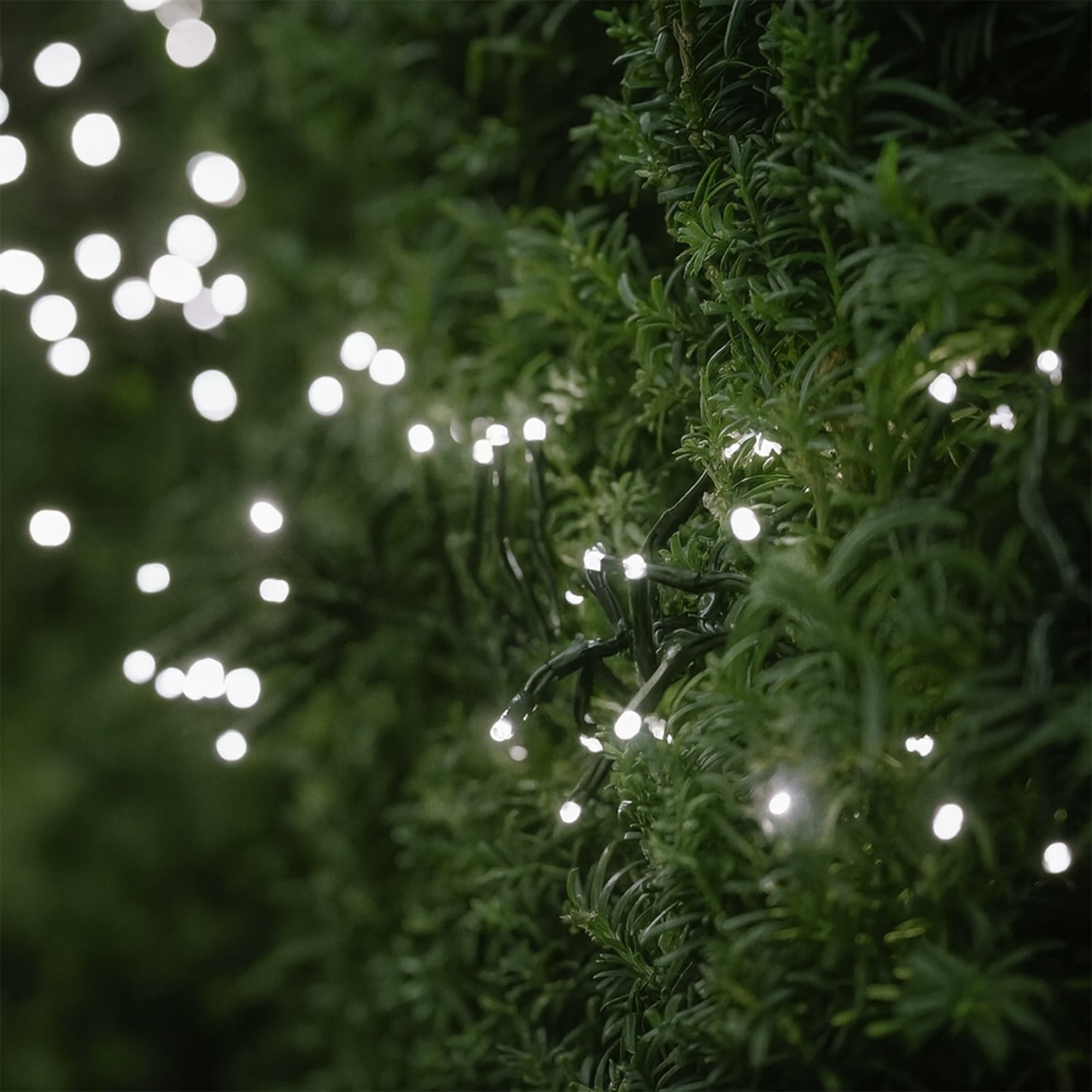 500 LED Connectable Cluster Light - 12 Colour Options – Lexi Lighting