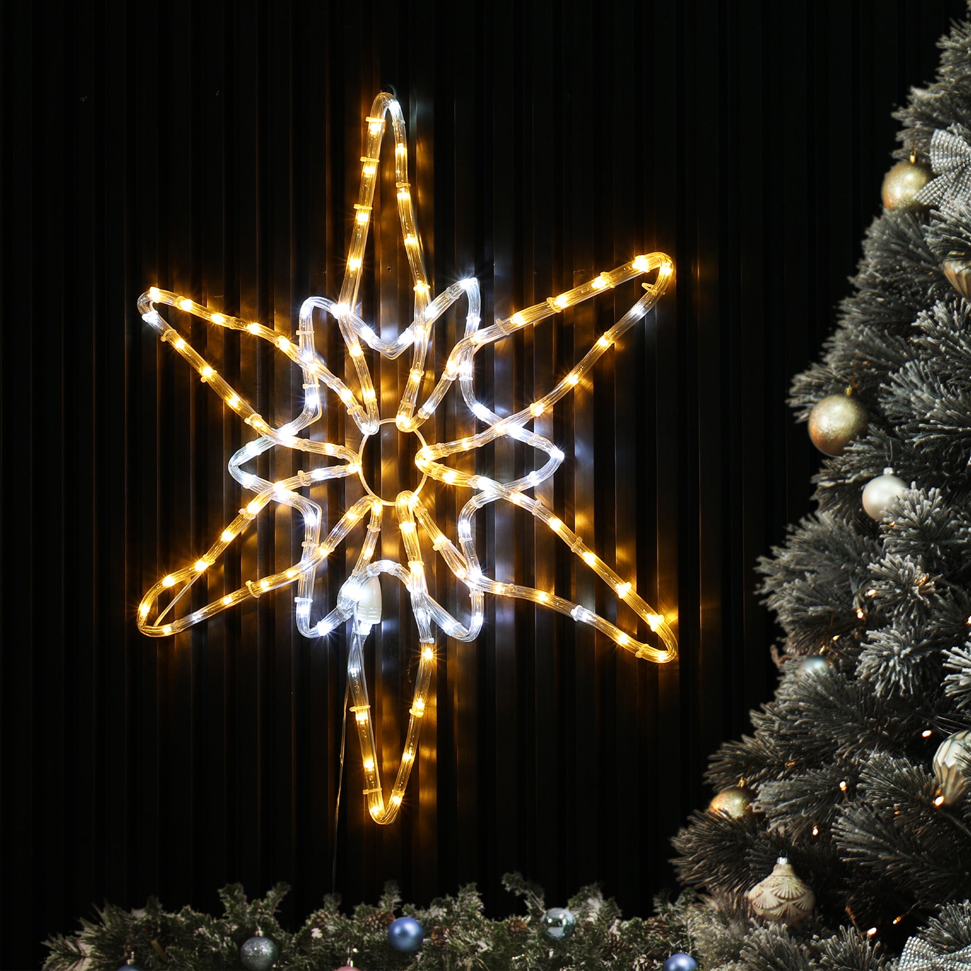 LED Northern Star Rope Light Silhouette - 2 Colour Options – Lexi Lighting
