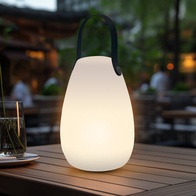 LED Table Lamp with Handle – Lexi Lighting