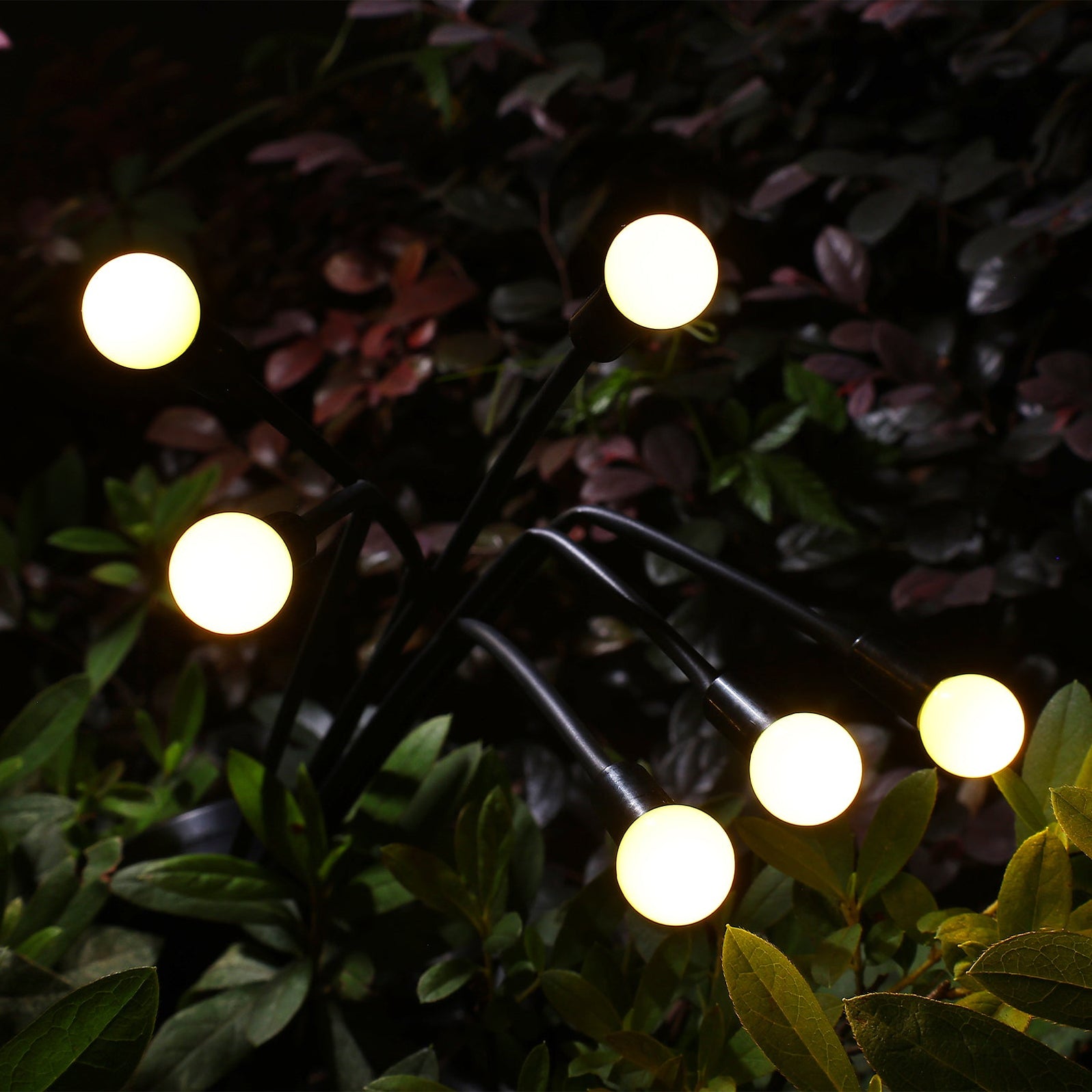 Solar Powered LED Tree PathLight - 2 Colour Options – Lexi Lighting