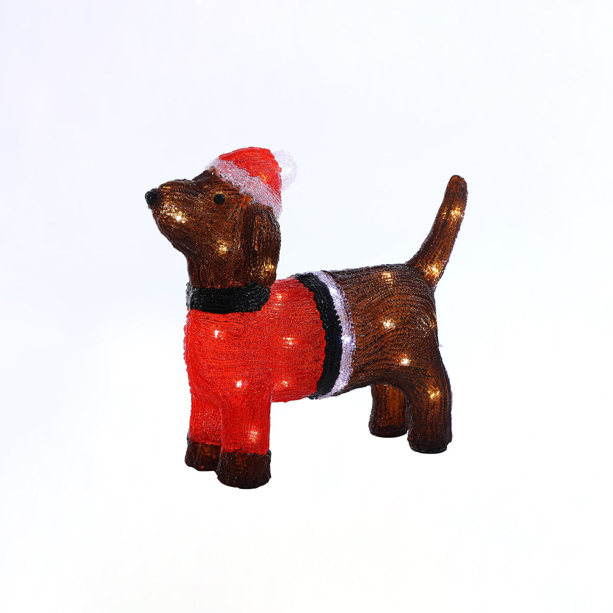 Acrylic Dachshund Dog - H36cm – Lexi Lighting
