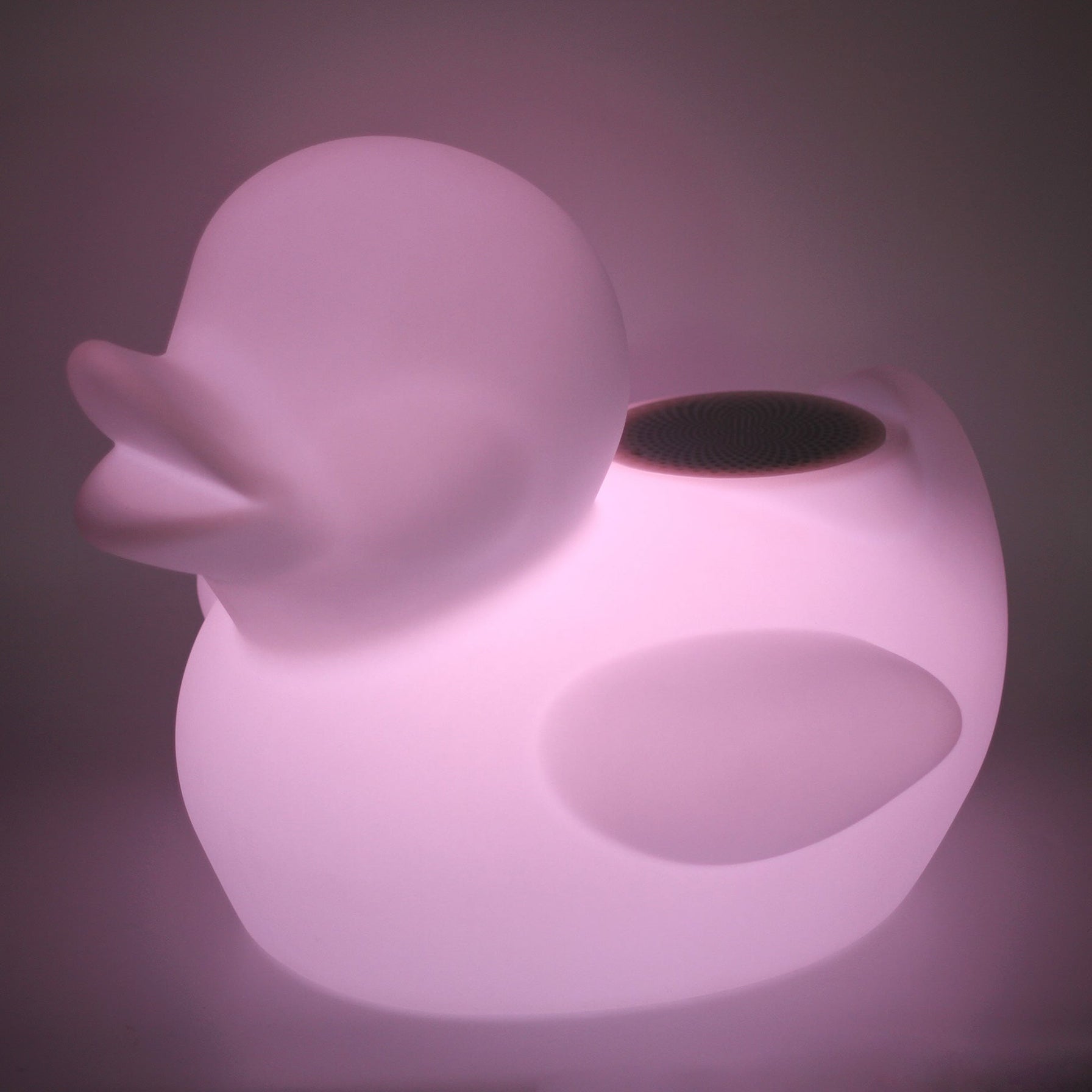 LED Floating Duck Bluetooth Speaker Light – Lexi Lighting