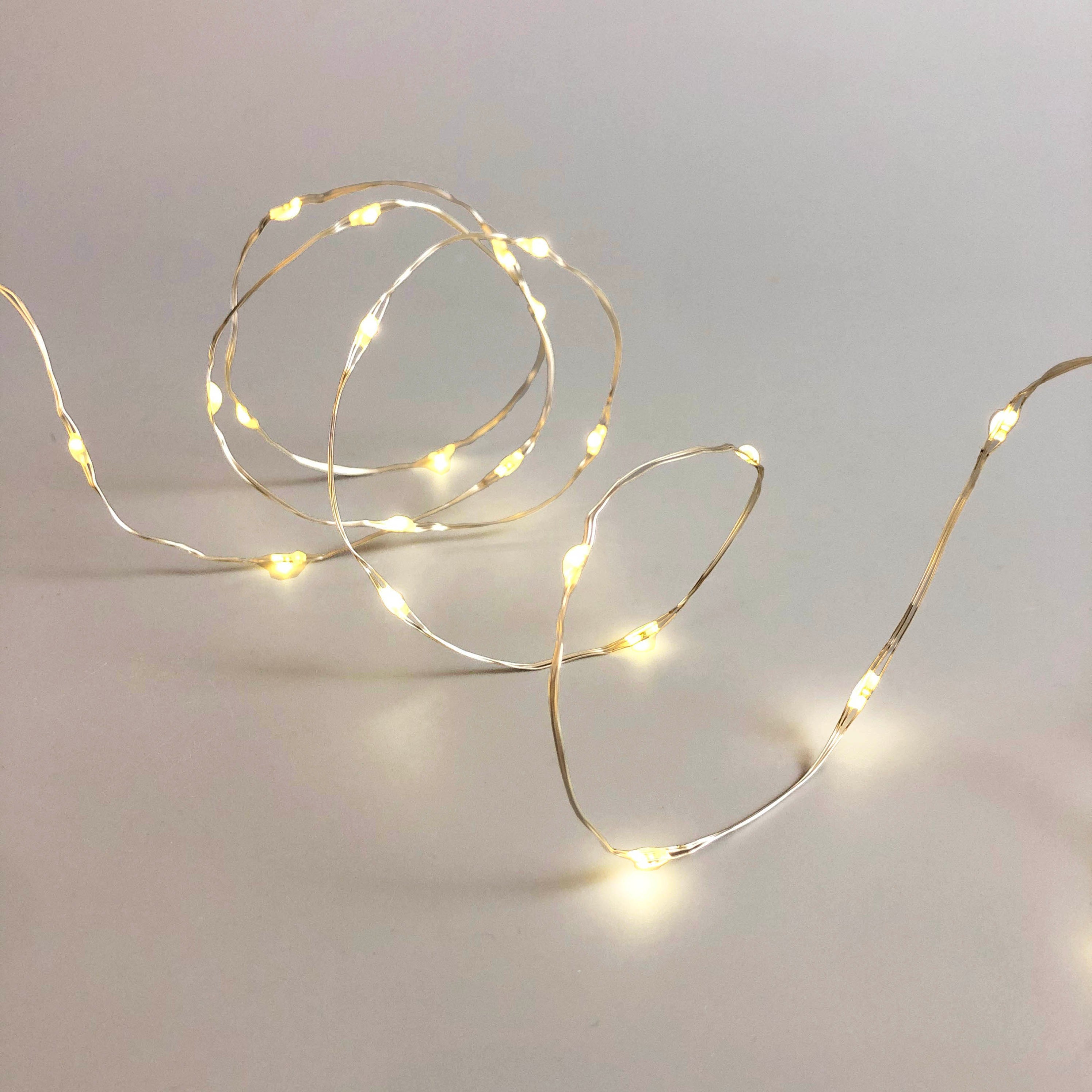 1000 Dual Colour Micro LED String Light – Lexi Lighting