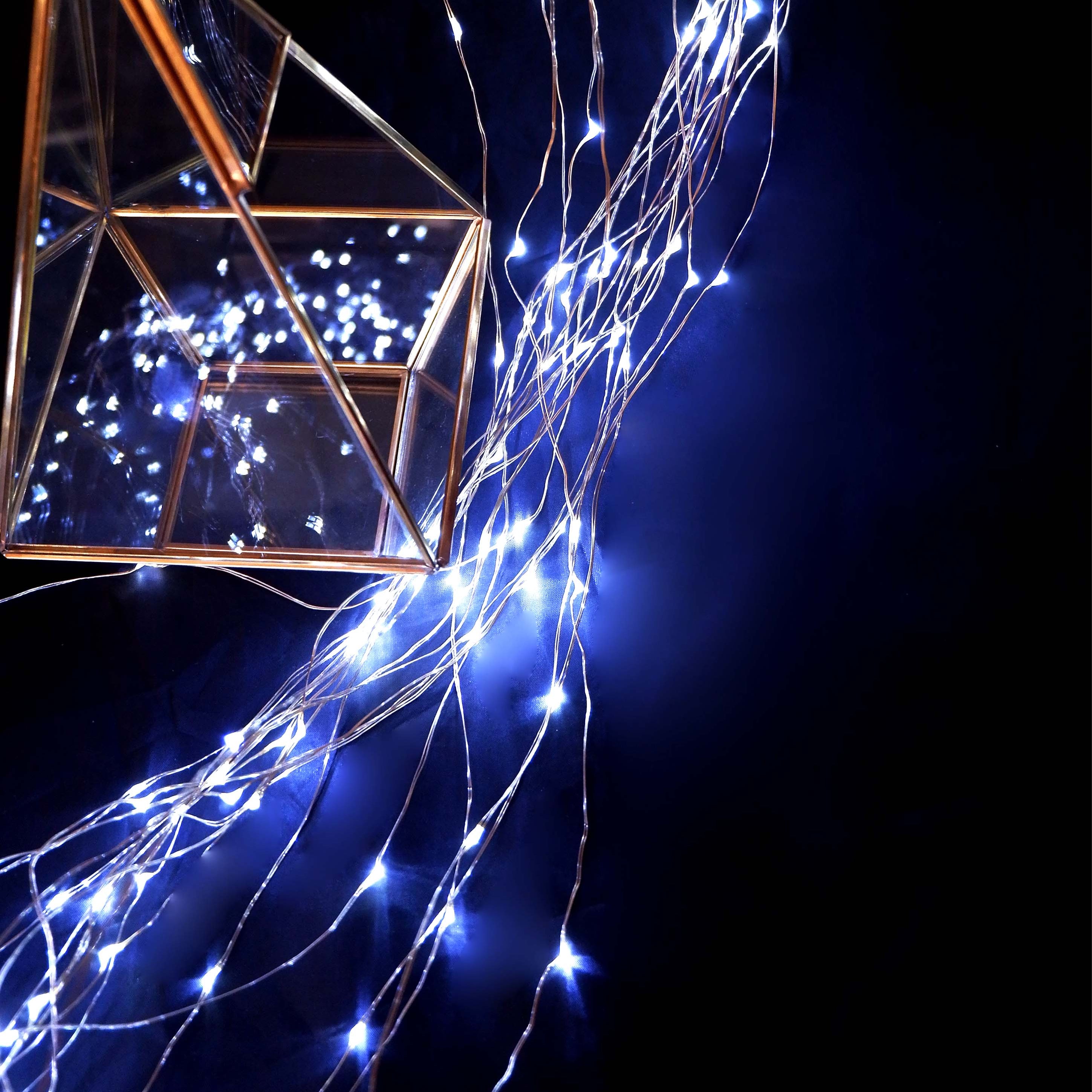 200 Dual Colour Micro LED Branch Lights – Lexi Lighting